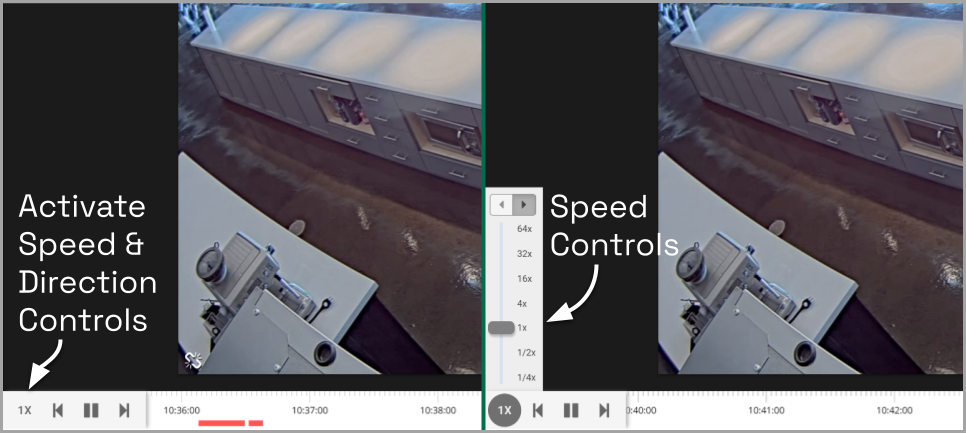 Playback Speed Control - Orchid Alto VMS User Guide - 22.9