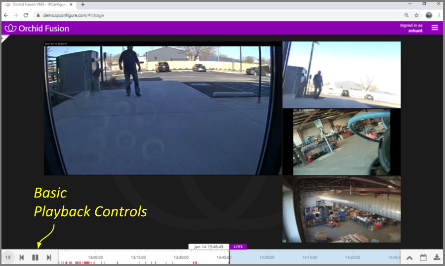 Basic Playback Controls - Orchid Hybrid/Fusion VMS User Guide - 21.3