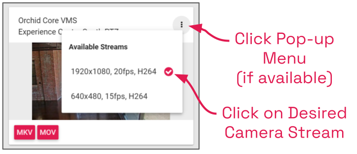 Export by Timeline Selection - Orchid Hybrid/Fusion VMS User Guide - 23.3