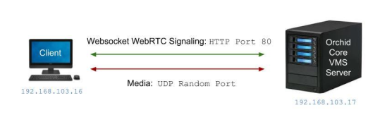 About WebRTC - Orchid Recorder Administrator Guide - 21.3