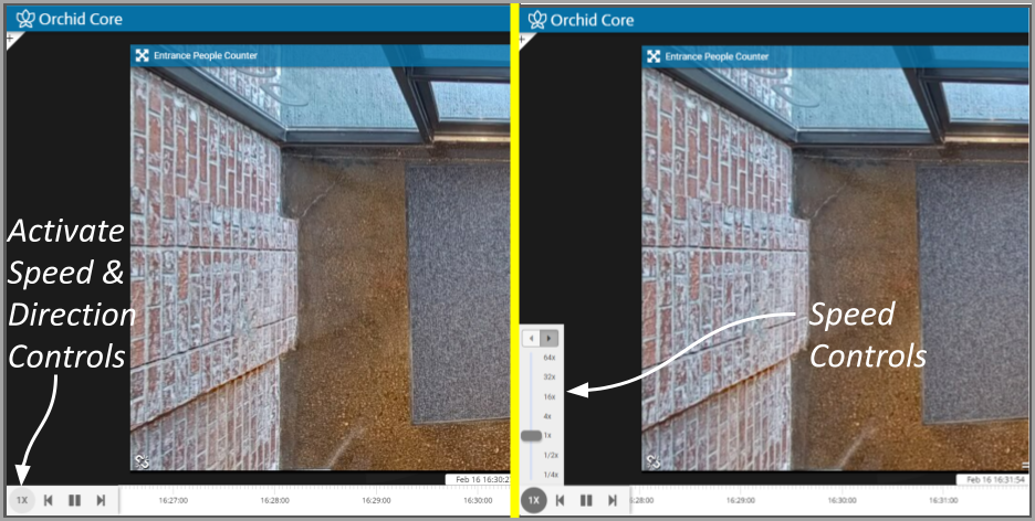 Playback Speed Control - Orchid Recorder User Guide - 21.12