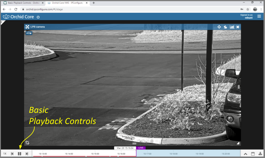 Basic Playback Controls - Orchid Recorder User Guide - 21.3