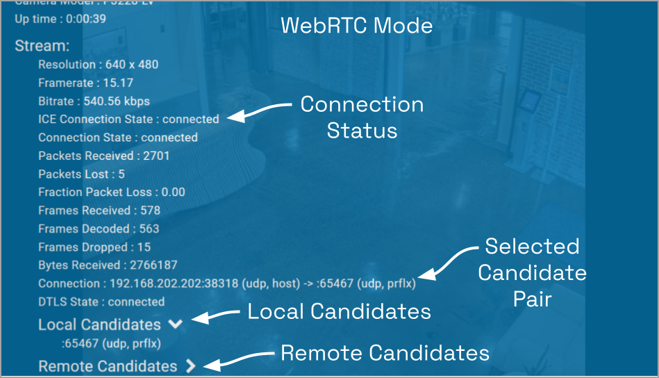 WebRTC Statistics - Orchid Recorder Administrator Guide - 22.12