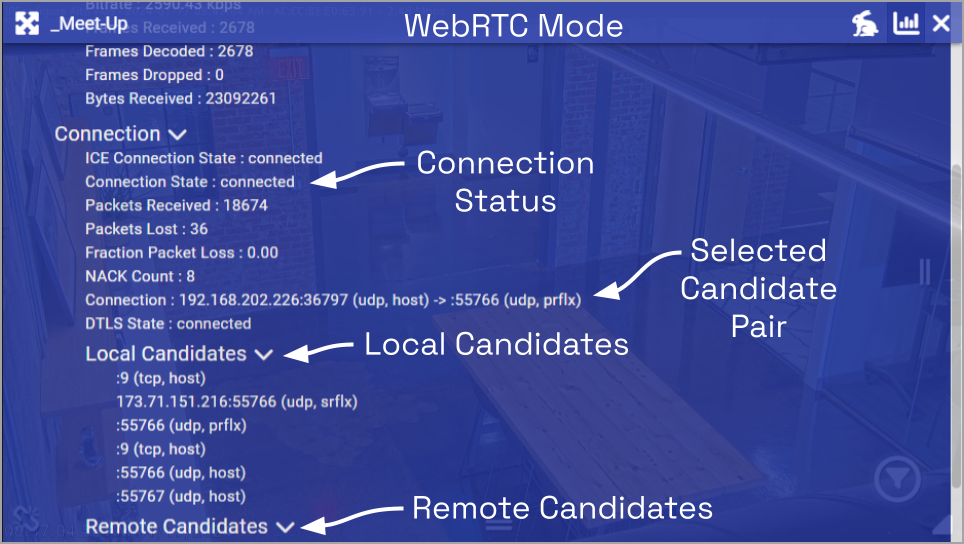 WebRTC Statistics - Orchid Recorder Administrator Guide - 23.12