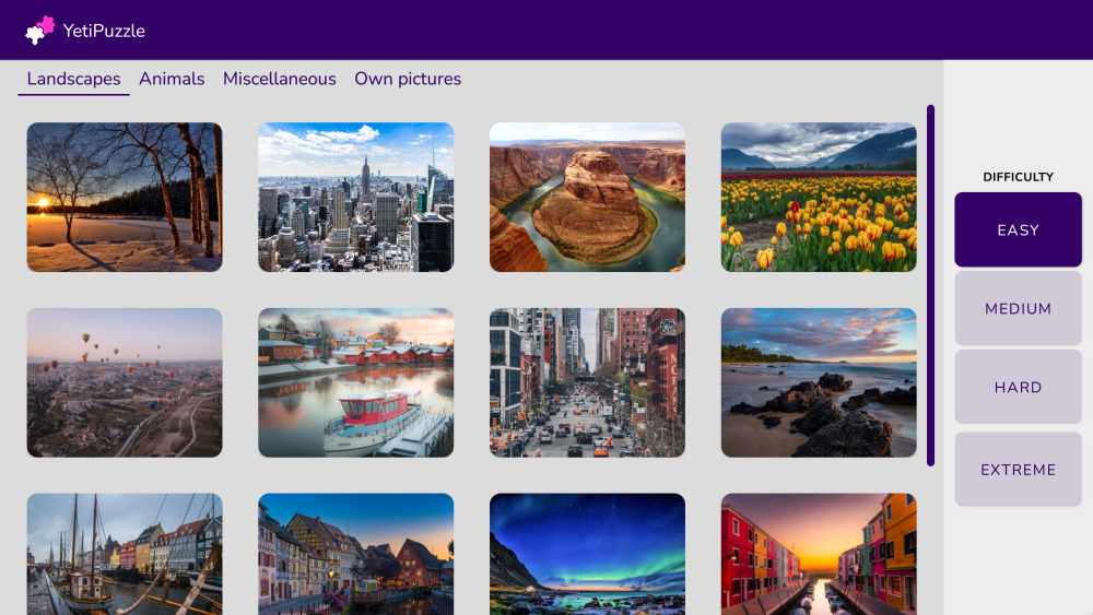 YetiPuzzle - YetiCare Launcher Manual - 1