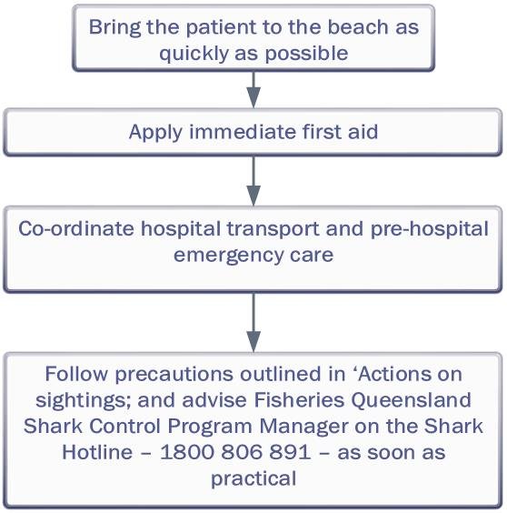 SHARK SAFETY PROCEDURE - Lifesaving Patrol Operations Manual (POM) - 1