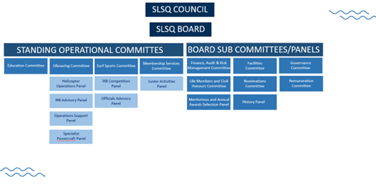 Surf Life Saving Structure - SLSQ Governance Manual - 1