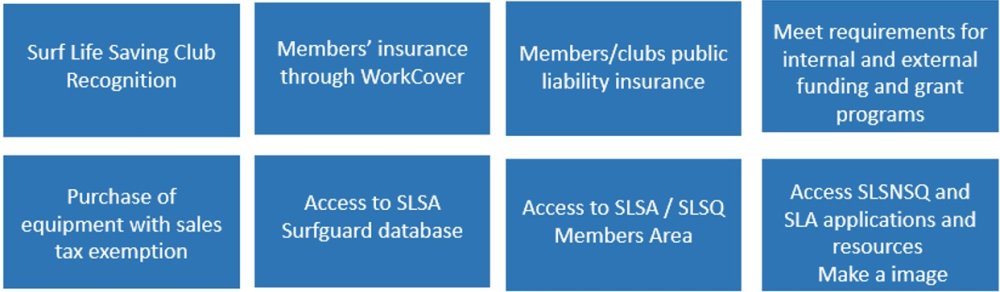 Affiliations - SLSQ Governance Manual - 1