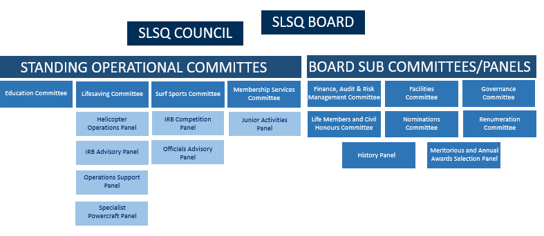 Surf Life Saving Structure - SLSQ Governance Manual - 1