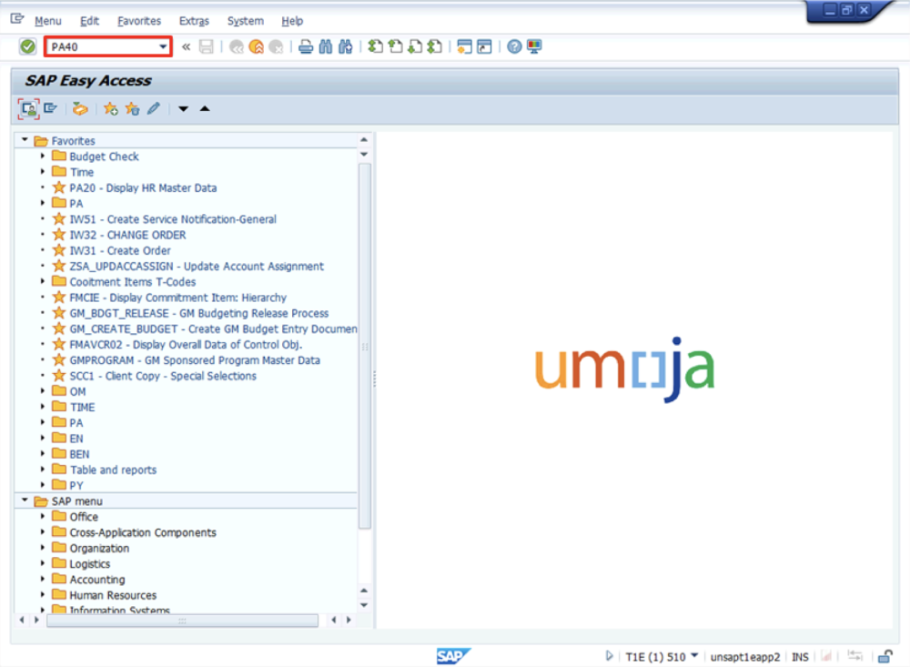 Creating HR Mini Master Record - Umoja HR Mini-Master - 1