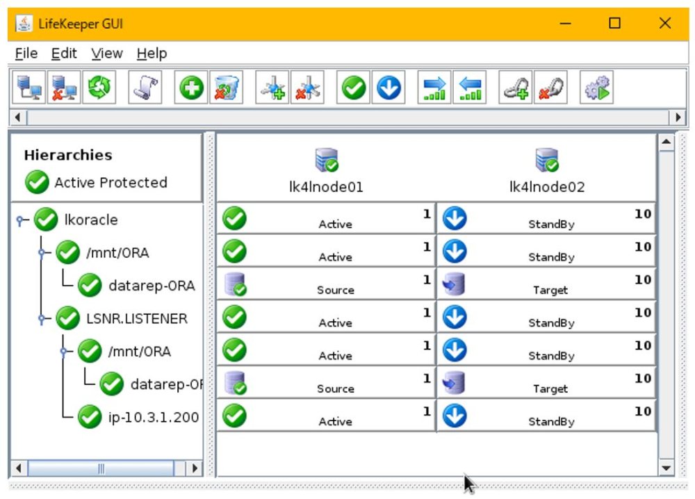 Creating an Oracle Resource Hierarchy - LifeKeeper for Linux LIVE - 9.6.0