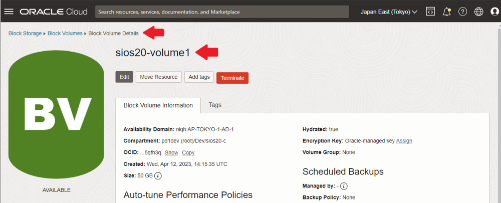 Block Volume の作成とアタッチ - LifeKeeper for Windows LIVE - 8.10.0