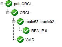 Creating an Oracle Hierarchy - LifeKeeper for Windows LIVE - 8.10.0