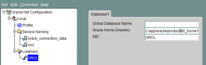 Oracle のインストール - LifeKeeper for Windows LIVE - 8.10.1