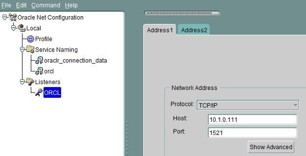Installing Oracle - LifeKeeper for Windows LIVE - 8.10.0