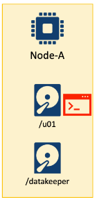 Protecting an Oracle Resource (non-PDB) - LifeKeeper for Linux LIVE - 10.0