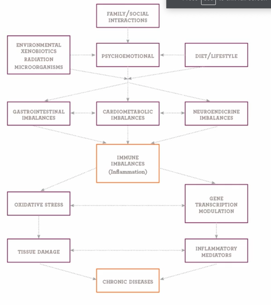 3 Roots Many Branches Root 3 - Education - 1