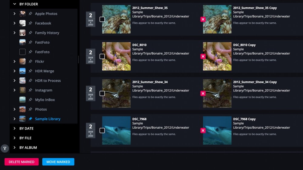 Removing vs. Deleting Duplicate Images - Mylio Photos - Version 24.3