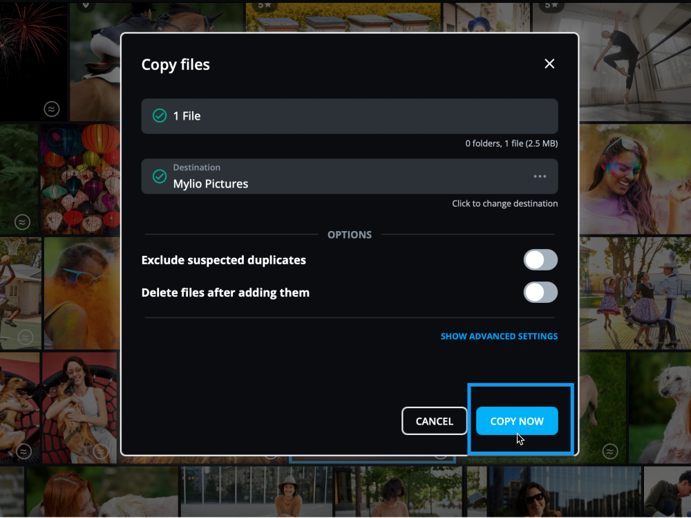 Add Media using Drag and Drop - Mylio Photos - Version 24.3