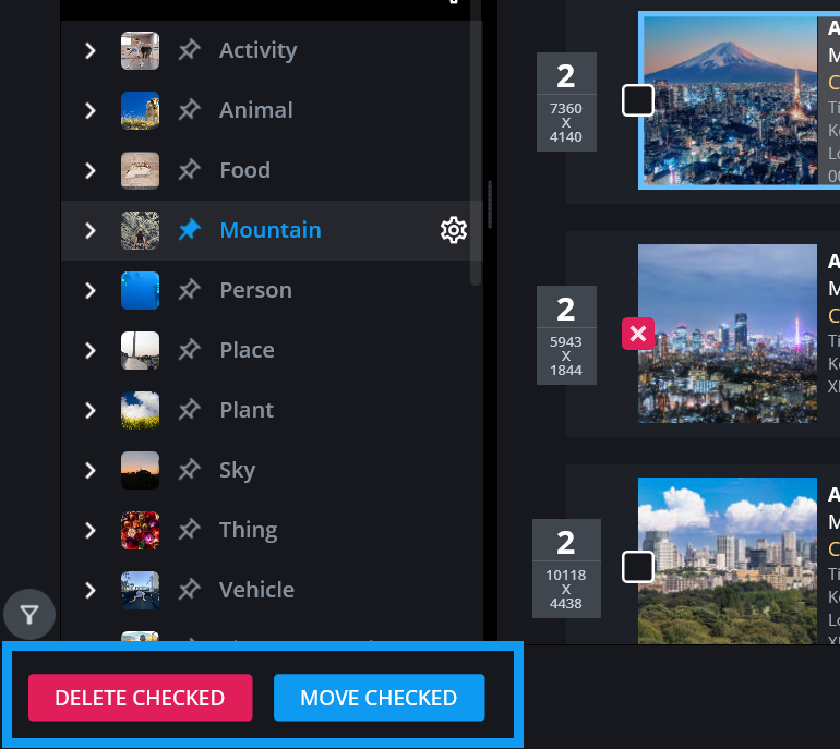 Removing vs. Deleting Duplicate Images - Mylio Photos - Version 24.3