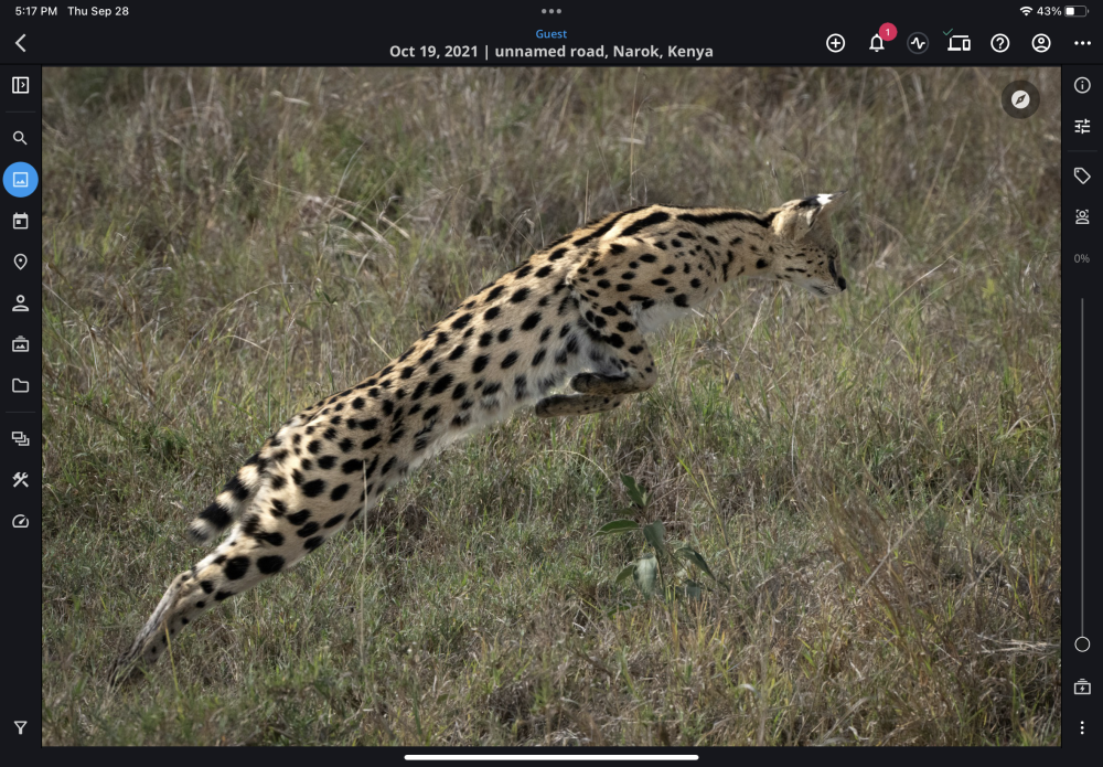 Customize Library Sharing with Spaces - Mylio Photos - Version 24.3 Customize Library Sharing with Spaces - Mylio Photos - Version 24.3
