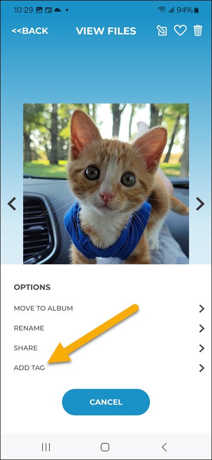 Adding Tags to Photos and Videos - ThePhotoStick® Omni - Official User ...
