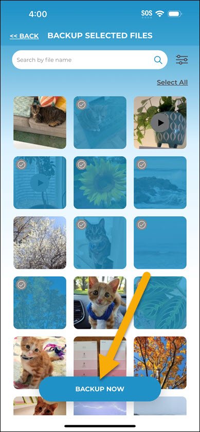 Starting a Backup - ThePhotoStick® Omni - Official User Guide - 4