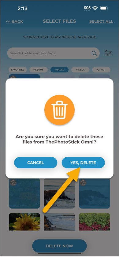 Deleting Files From Your ThePhotoStick Omni Drive iPad/iPhone ...