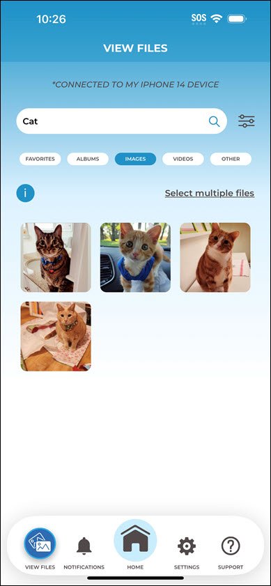 Searching, Filtering, and Sorting Files on iPad/iPhone - ThePhotoStick ...