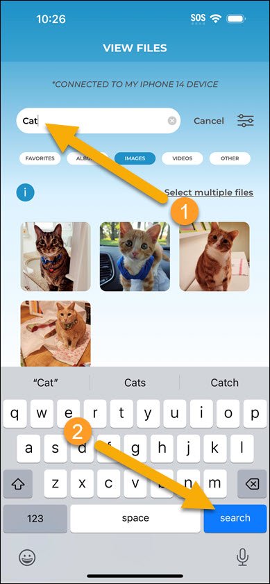Searching, Filtering, and Sorting Files on iPad/iPhone - ThePhotoStick ...