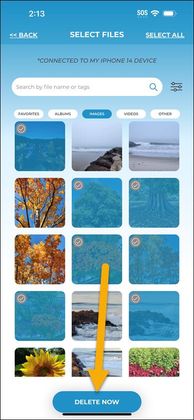 Deleting Files From Your ThePhotoStick Omni Drive iPad/iPhone ...