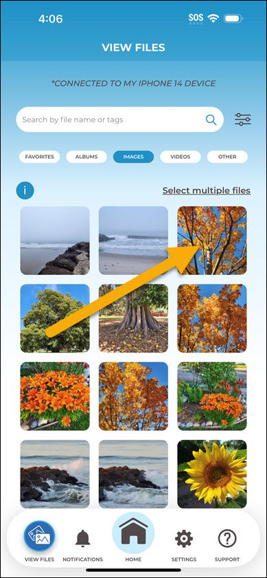 Adding Photos and Videos to Your Favorites Album - ThePhotoStick® Omni ...