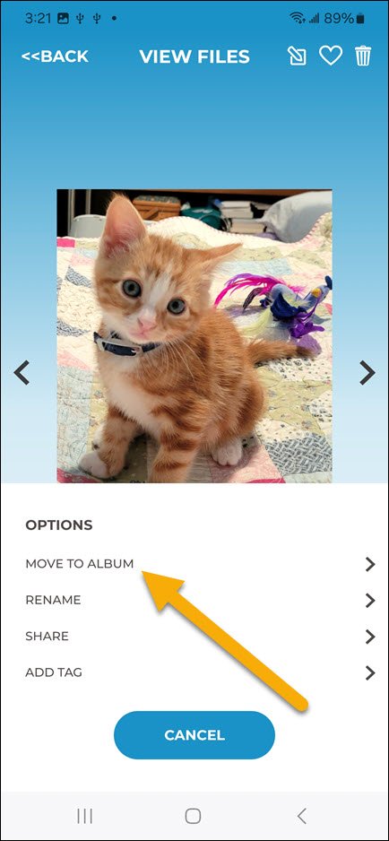 Adding Files to Albums - ThePhotoStick® Omni - Official User Guide - 4