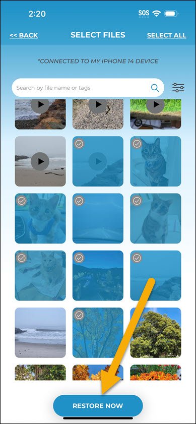 Restoring Files From Your ThePhotoStick Omni Drive iOS - ThePhotoStick® Omni - Official User ...