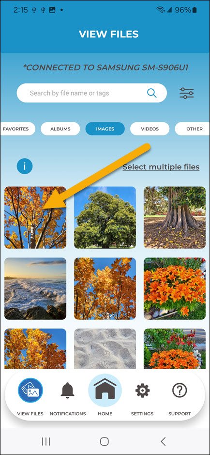 Adding Photos and Videos to Your Favorites Album - ThePhotoStick® Omni ...