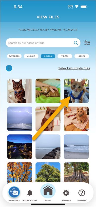 Creating Albums and Adding Files to Albums iPhone/iPad - ThePhotoStick ...