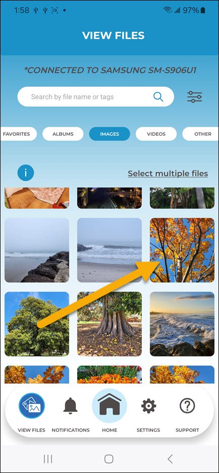 Adding Photos and Videos to Your Favorites Album - ThePhotoStick® Omni ...