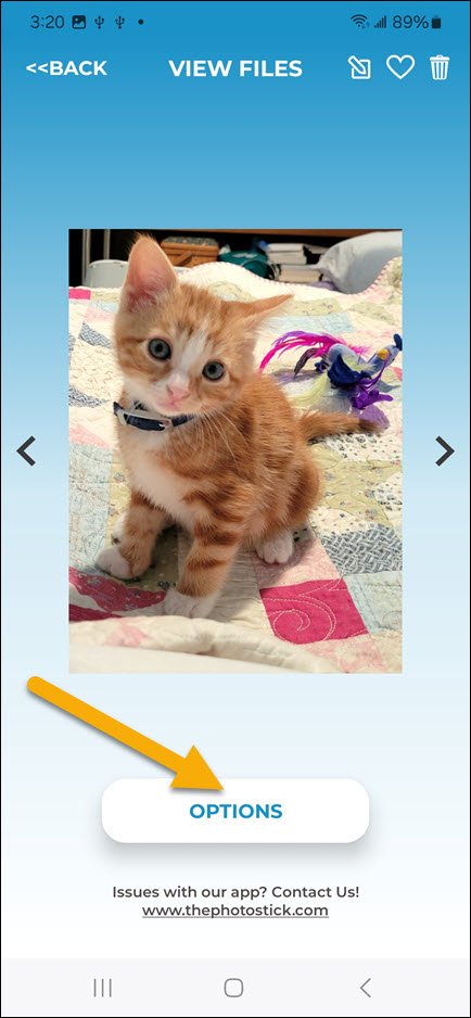 Adding Files to Albums - ThePhotoStick® Omni - Official User Guide - 4