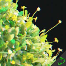 Moss Generator - Documentation - main