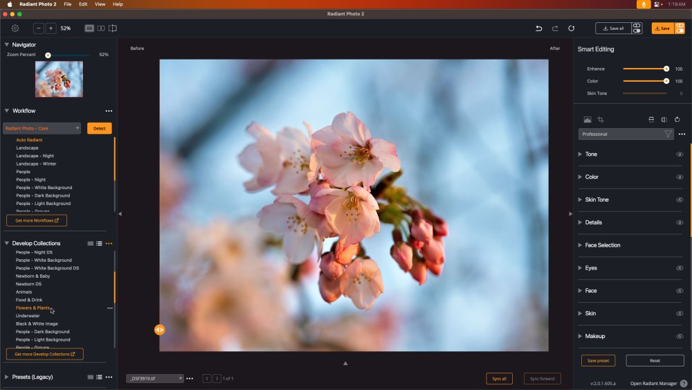 How to Migrate My Smart Presets from Radiant Photo 1 - Radiant Photo 2 - 1
