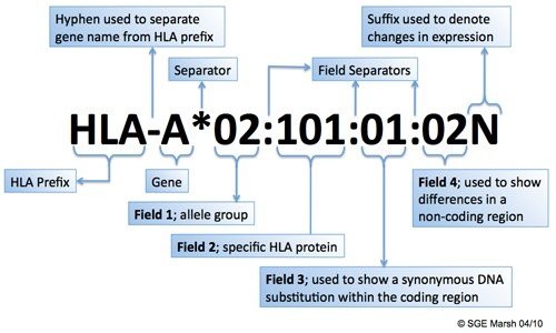 2005: Confirmation of HLA Typing - Forms Instruction Manual - 1