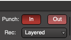 Punch Recording - Mixbus - 10