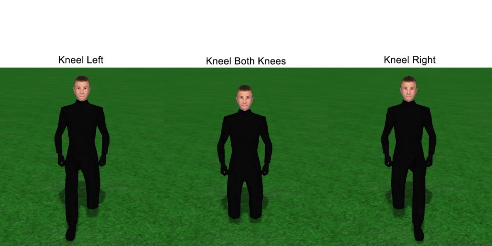 Real View Poses Guide - Pyware 3D User Guide - 7.2