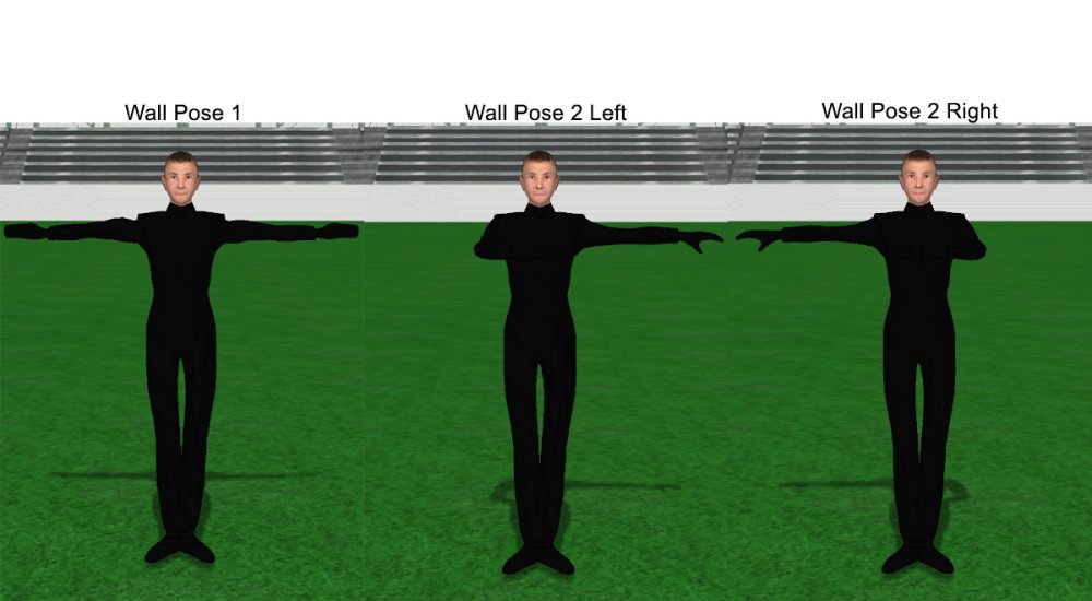 Real View Poses Guide - Pyware 3D User Guide - 7.2