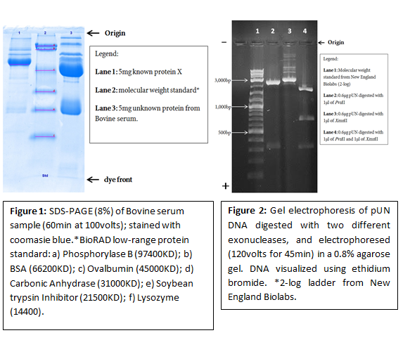 Results - Trinity Western University Biology Handbook - 1