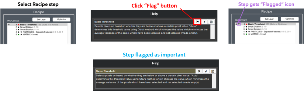 Notes, Flags, Interruptible, Custom Recipe Names - MIPAR User Manual - v5.3