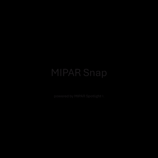 Spotlight ˙₊ - MIPAR User Manual - v5.3