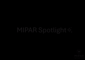 Spotlight ˙₊ - MIPAR User Manual - v5.3