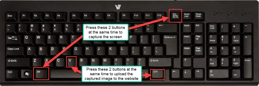 How to Take a Screenshot - ASellerTool Scoutly and TurboLister User ...