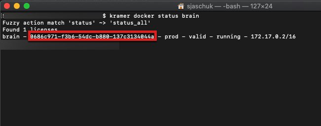 Docker Brain Setup - Kramer Control - 1